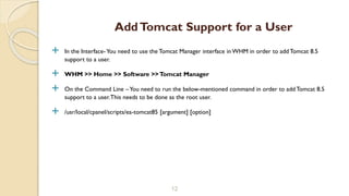 Comprehensive Information on Tomcat | PPT