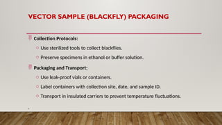 Comprehensive Management of DBS, Vector Samples, and DNA Extracts.pptx