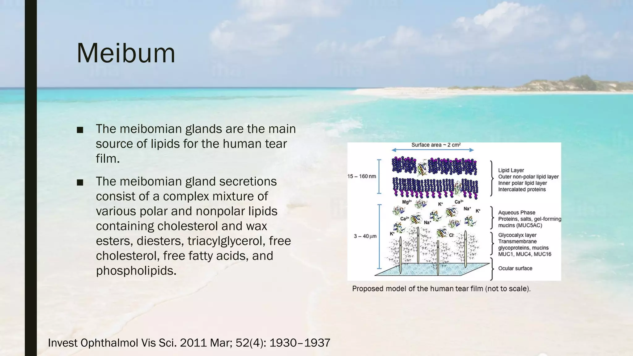 Comprehensive meibomian gland evaluation | PDF