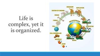 COMPREHENSIVE REVIEW OF BIOLOGICAL LEVELS OF ORGANIZATION.pdf