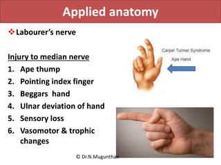 Comprehensive survey of median nerve - Dr.N.Mugunthan.M.S | PPT