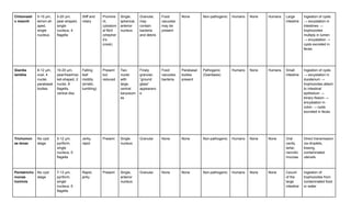 Comprehensive Table of Flagellates and Ciliates.pdf