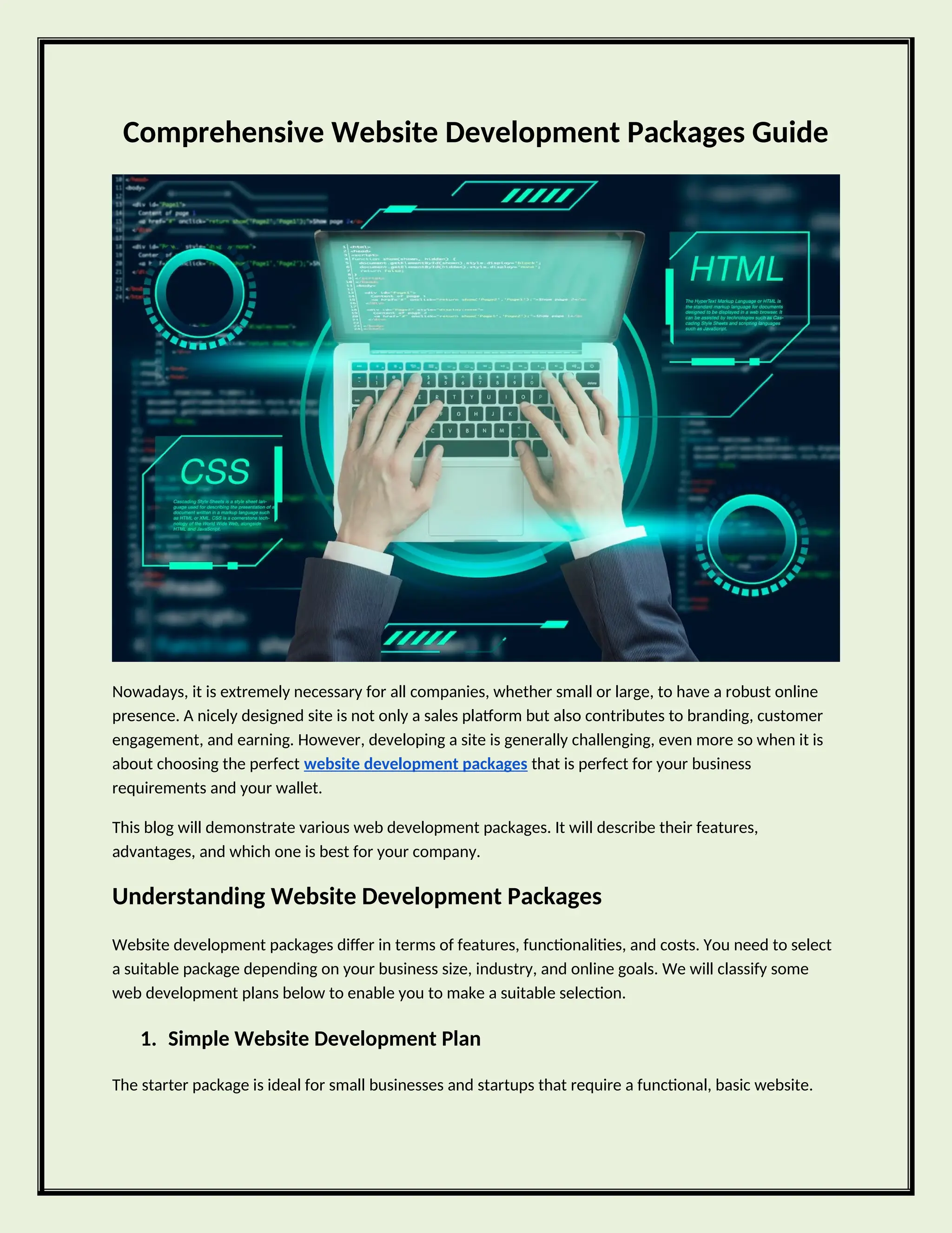 Comprehensive Website Development Packages Guide.docx