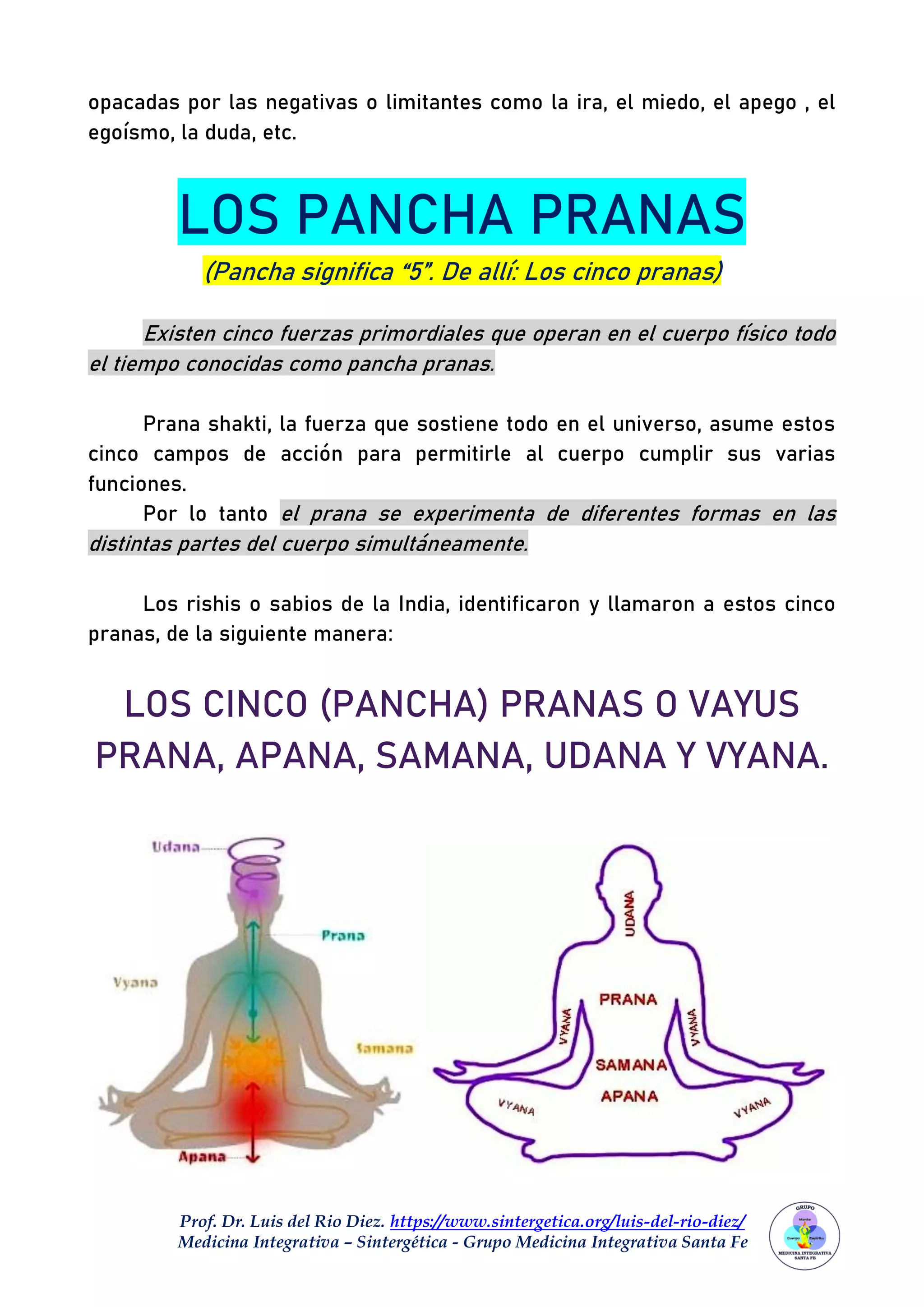 COMPRENDIENDO AL PRANA. LOS CINCO PRANAS, VAYUS, VIENTOS O ENERGÍAS DEL ...