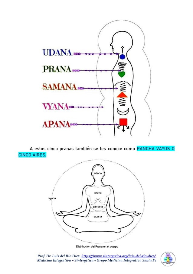 COMPRENDIENDO AL PRANA. LOS CINCO PRANAS, VAYUS, VIENTOS O ENERGÍAS DEL ...
