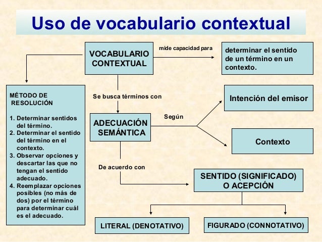 Comprensión de lectura y vocabulario contextual síntesis