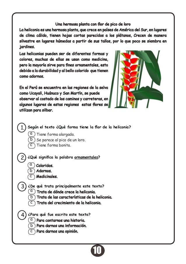 Comprension lectora ece_2016