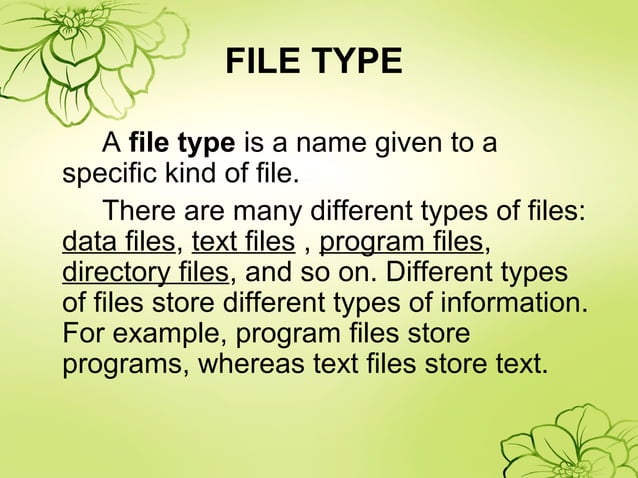 FILE TYPE/RUN/ FOLDER OPTION | PPT