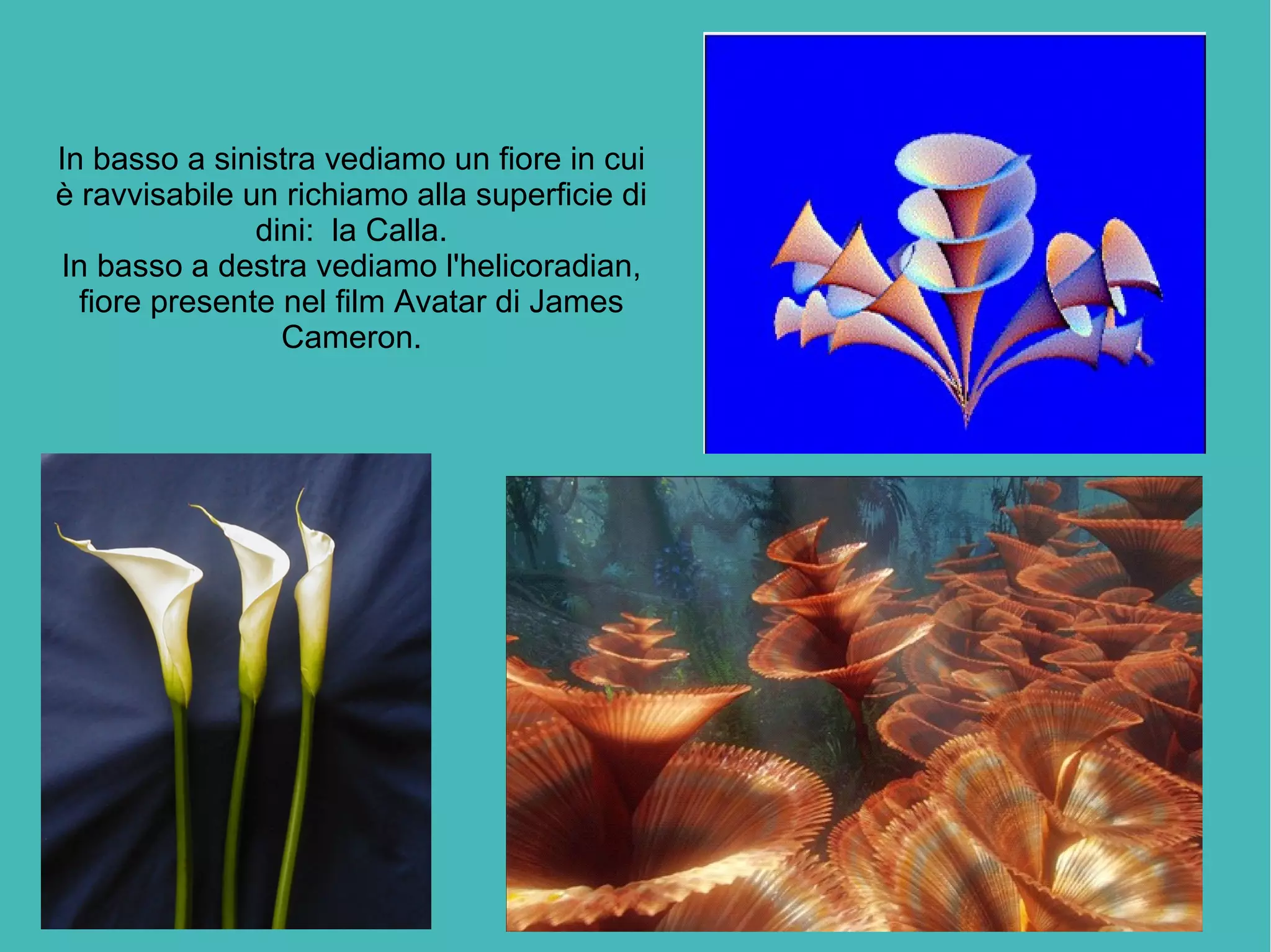 Forme geometriche non euclidee | ODP