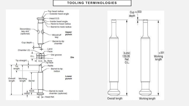 TABLET COMPRESSION | PPTX | Pharmaceutical Drugs | Medical Health