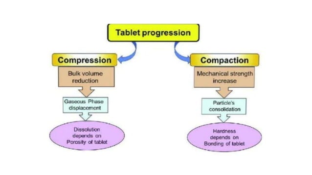 Compression And Compaction Physics Of Tablet Compression Pptx Chemistry Science
