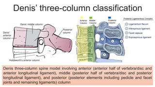 Compression Fracture of Vertebrae Lumbar IV-V.pptx | Death, Injury, or ...