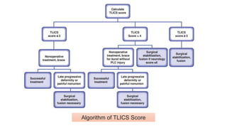 Compression Fracture of Vertebrae Lumbar IV-V.pptx | Death, Injury, or ...