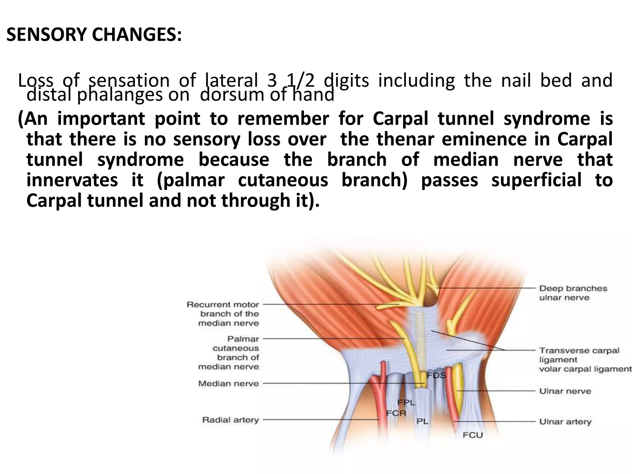 Compressive neuropathies of upper limb | PPT