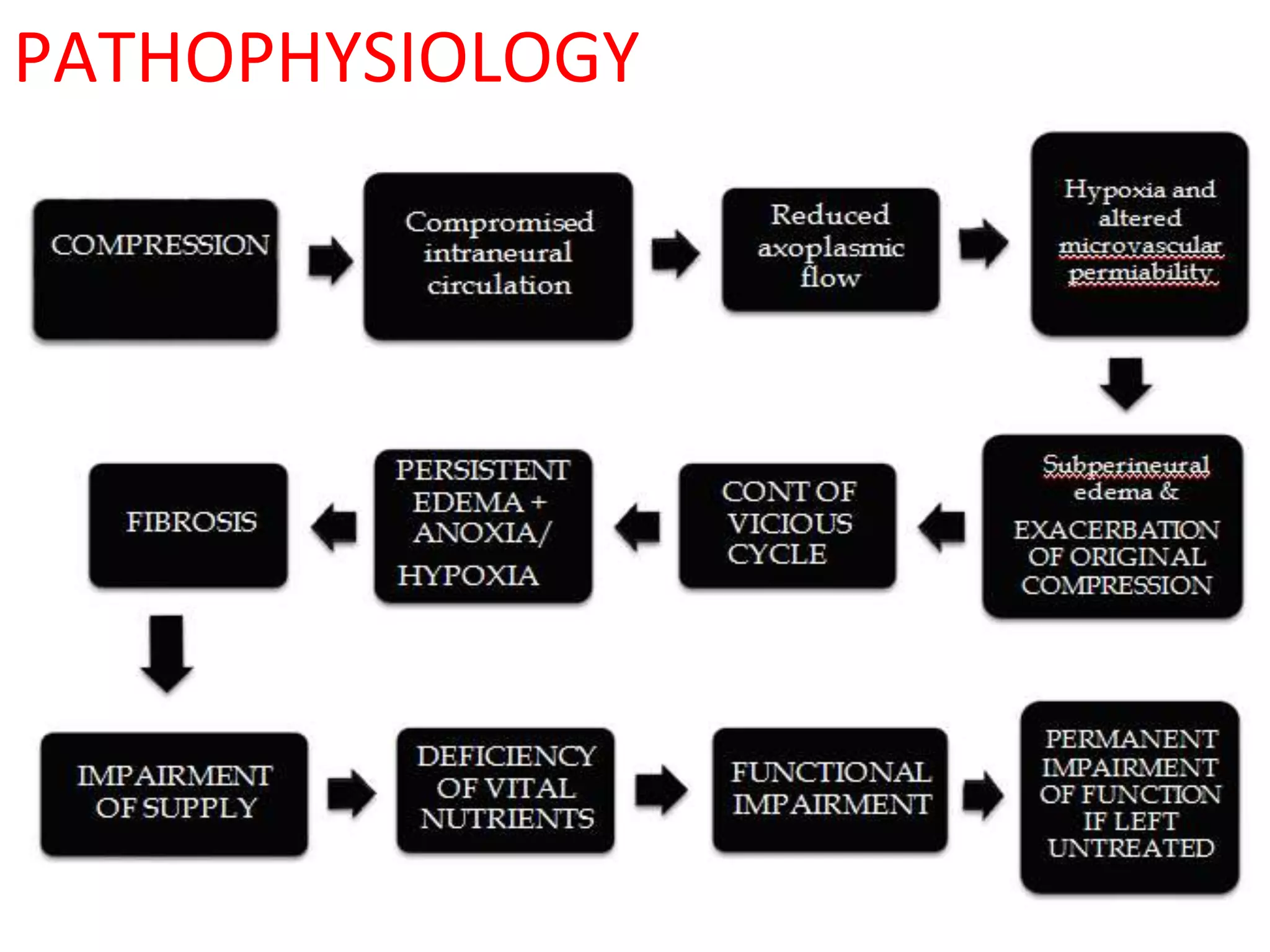 Compressive neuropathies of upper limb | PPT