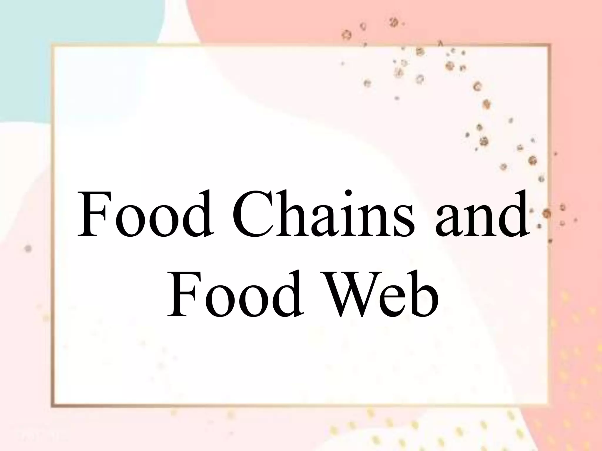 Food Chains and Food WEB | PPTX