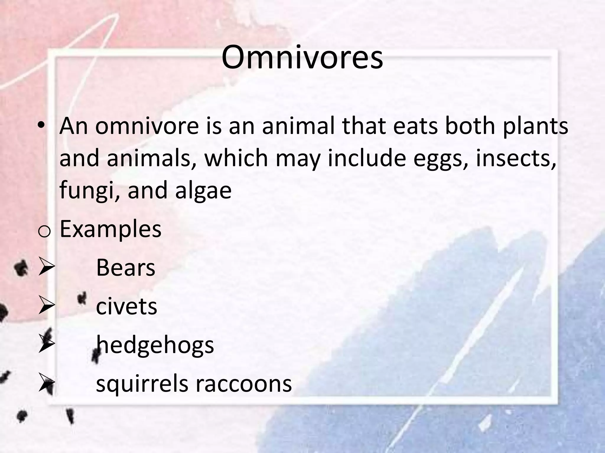 Food Chains and Food WEB | PPTX