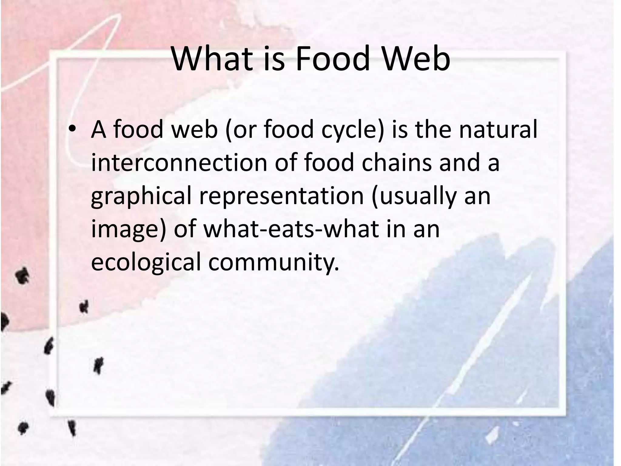 Food Chains and Food WEB | PPTX