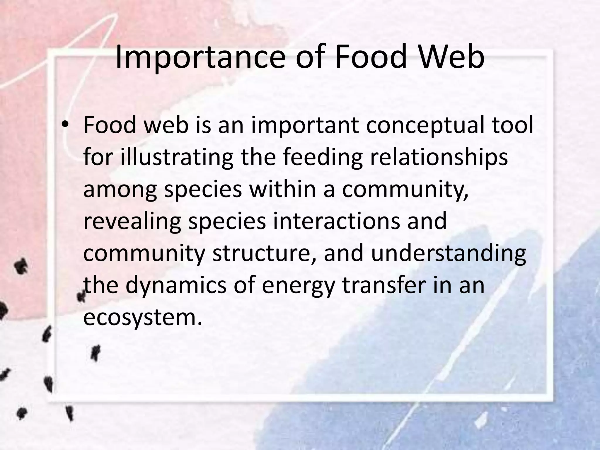 Food Chains and Food WEB | PPTX