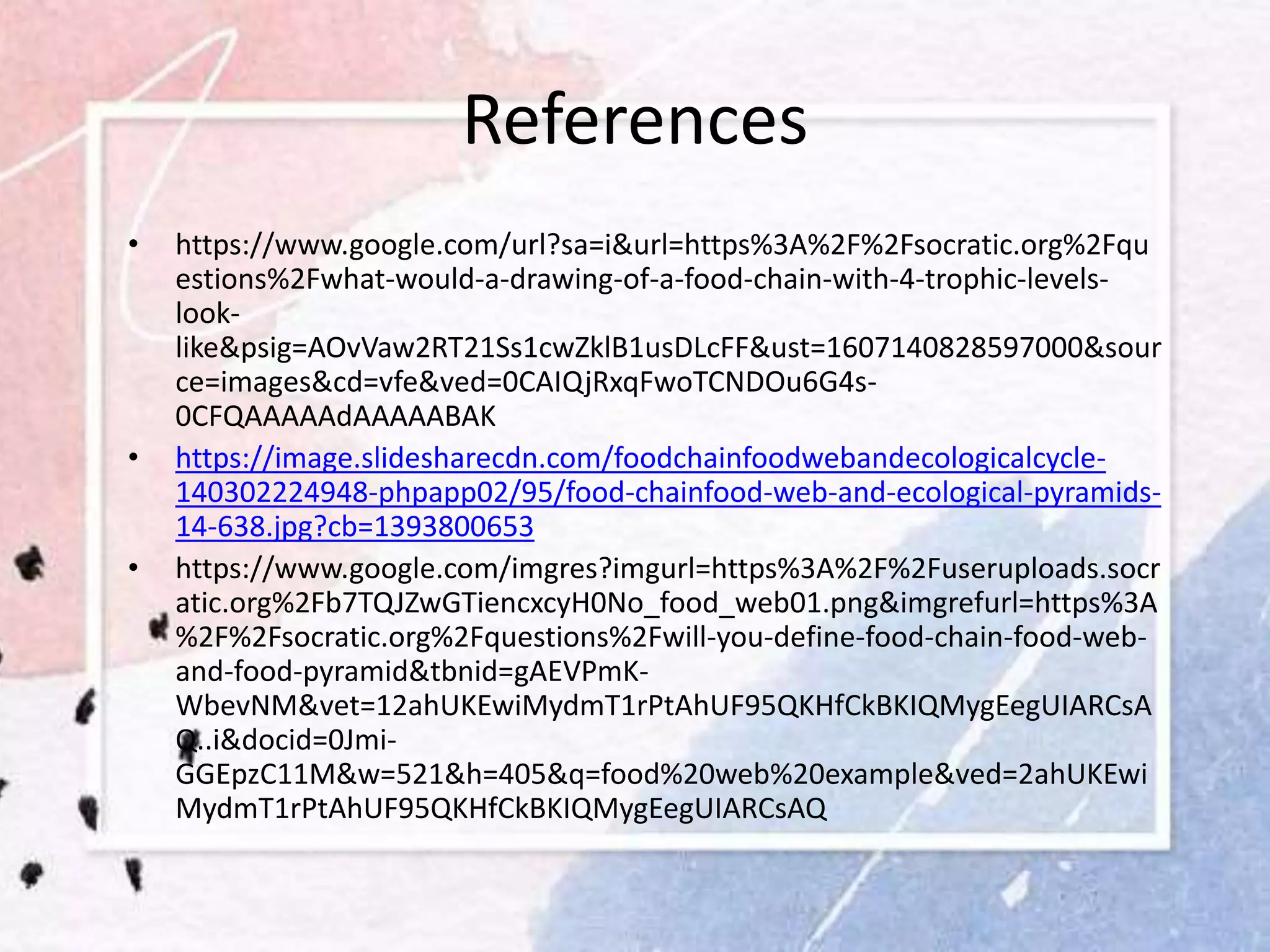 Food Chains and Food WEB | PPTX
