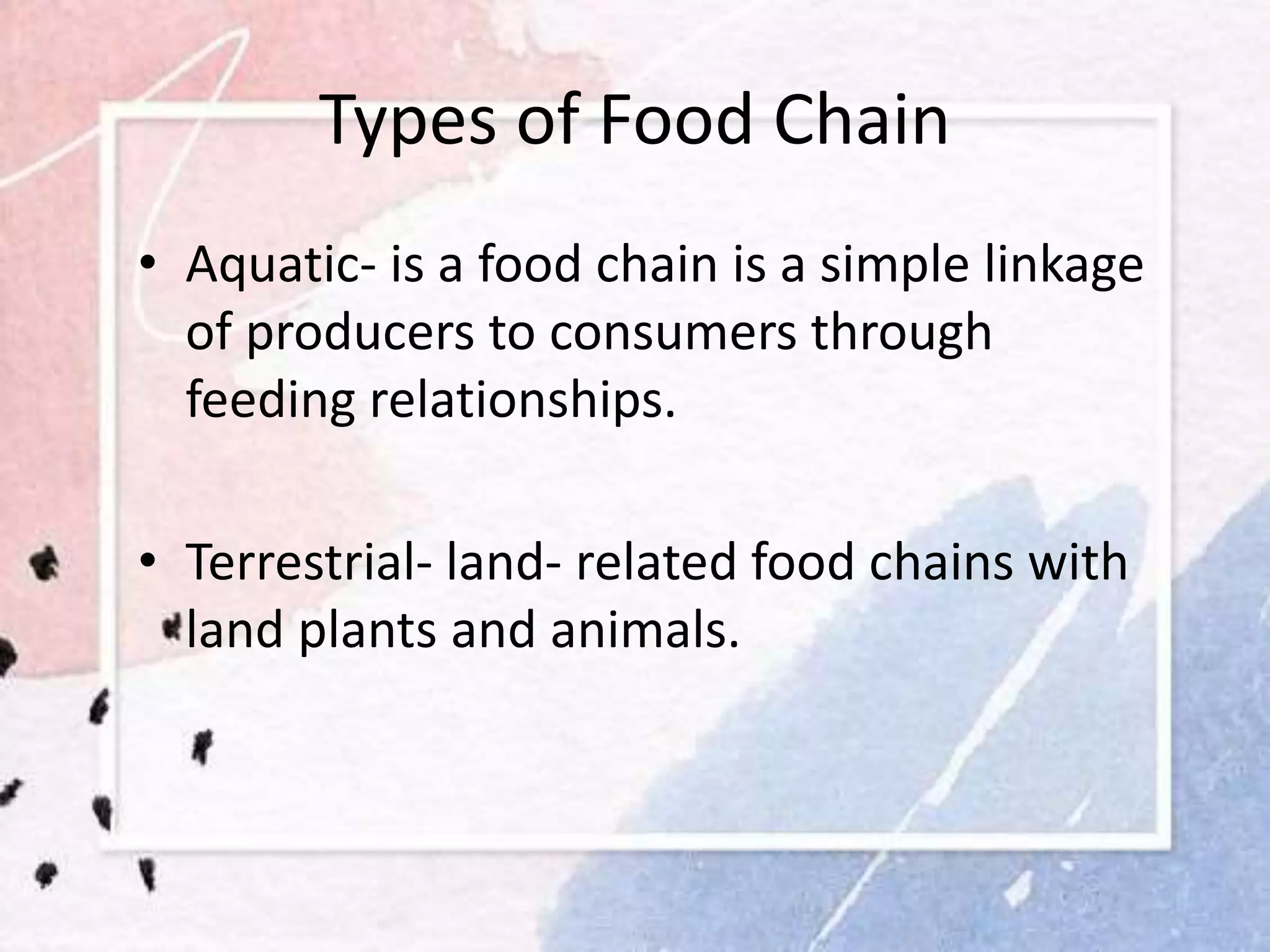 Food Chains and Food WEB | PPTX