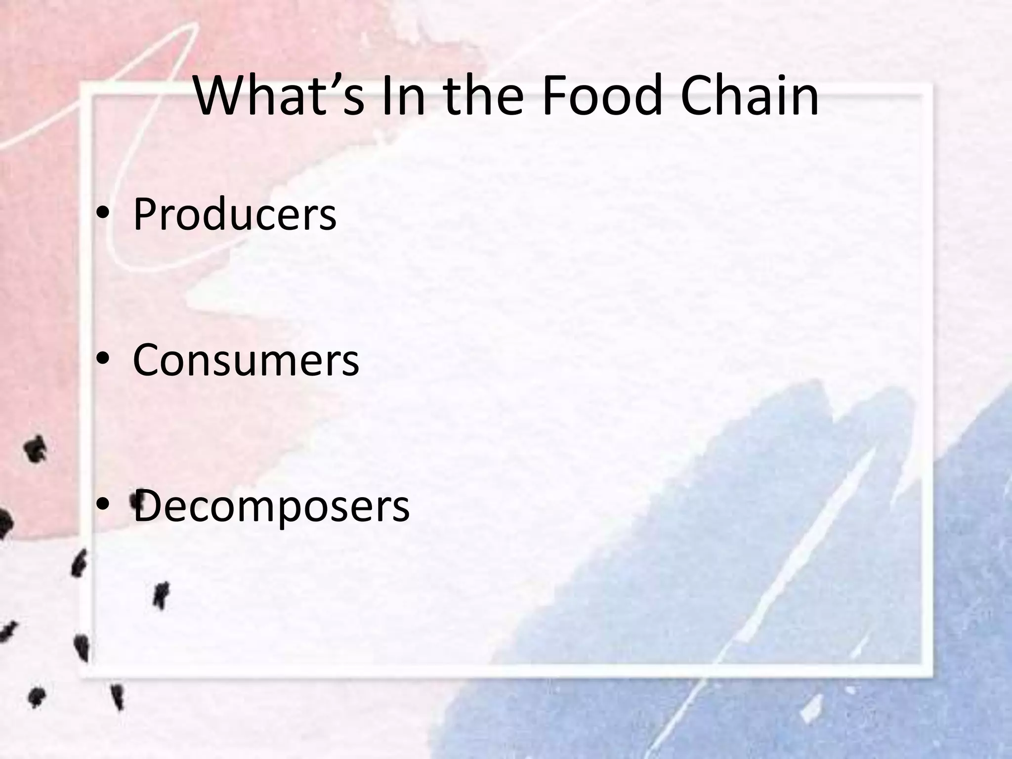 Food Chains and Food WEB | PPTX