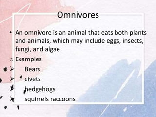 Food Chains and Food WEB | PPTX
