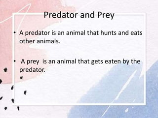 Food Chains and Food WEB | PPTX