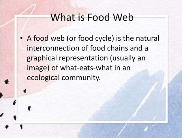 Food Chains and Food WEB | PPTX