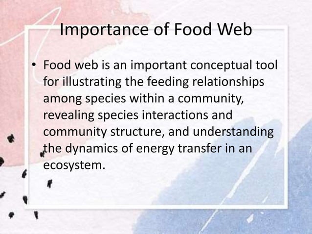 Food Chains and Food WEB | PPTX