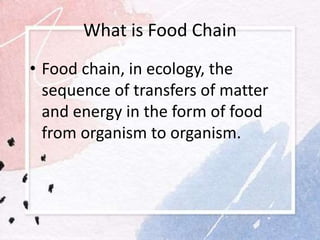 Food Chains and Food WEB | PPTX