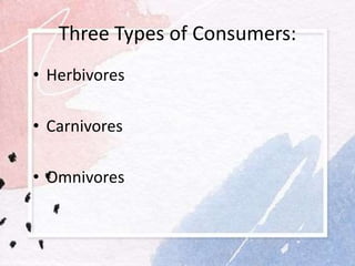 Food Chains and Food WEB | PPTX