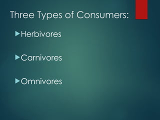 A_COMPLETE_PRESENTATION_ON_FOOD_CHAIN1).pptx