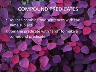 Compound sentence | PPT