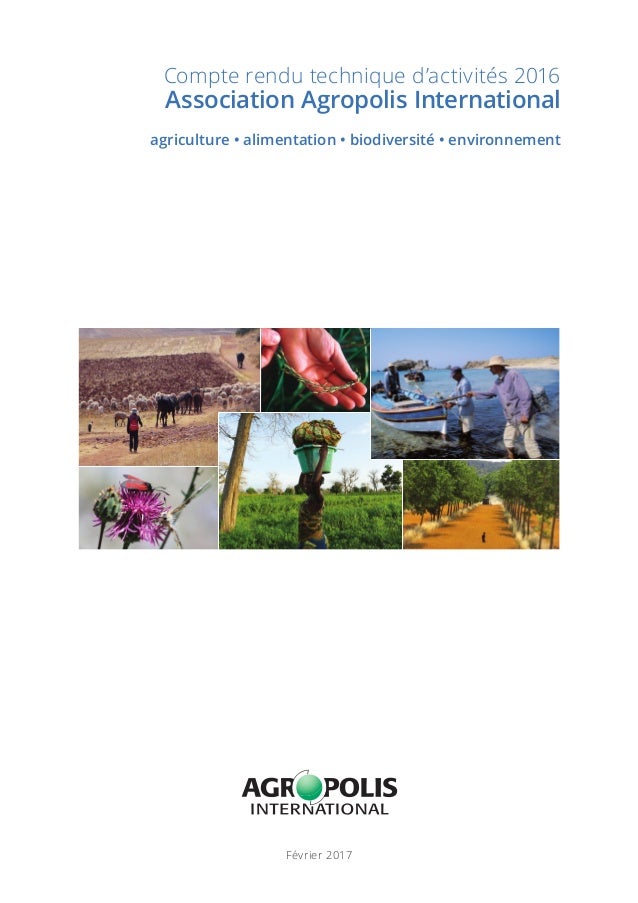 Agropolis de Meknès - Gestion De Projet