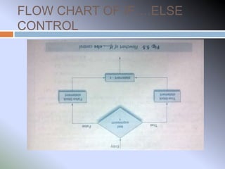 Compter pogramming and utilization | PPTX | Programming Languages | Computing