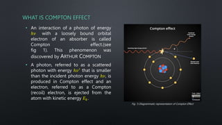 Compton Effect.pptx