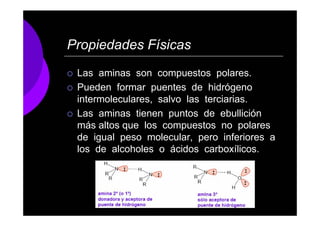 Compuestos nitrogenados | PDF