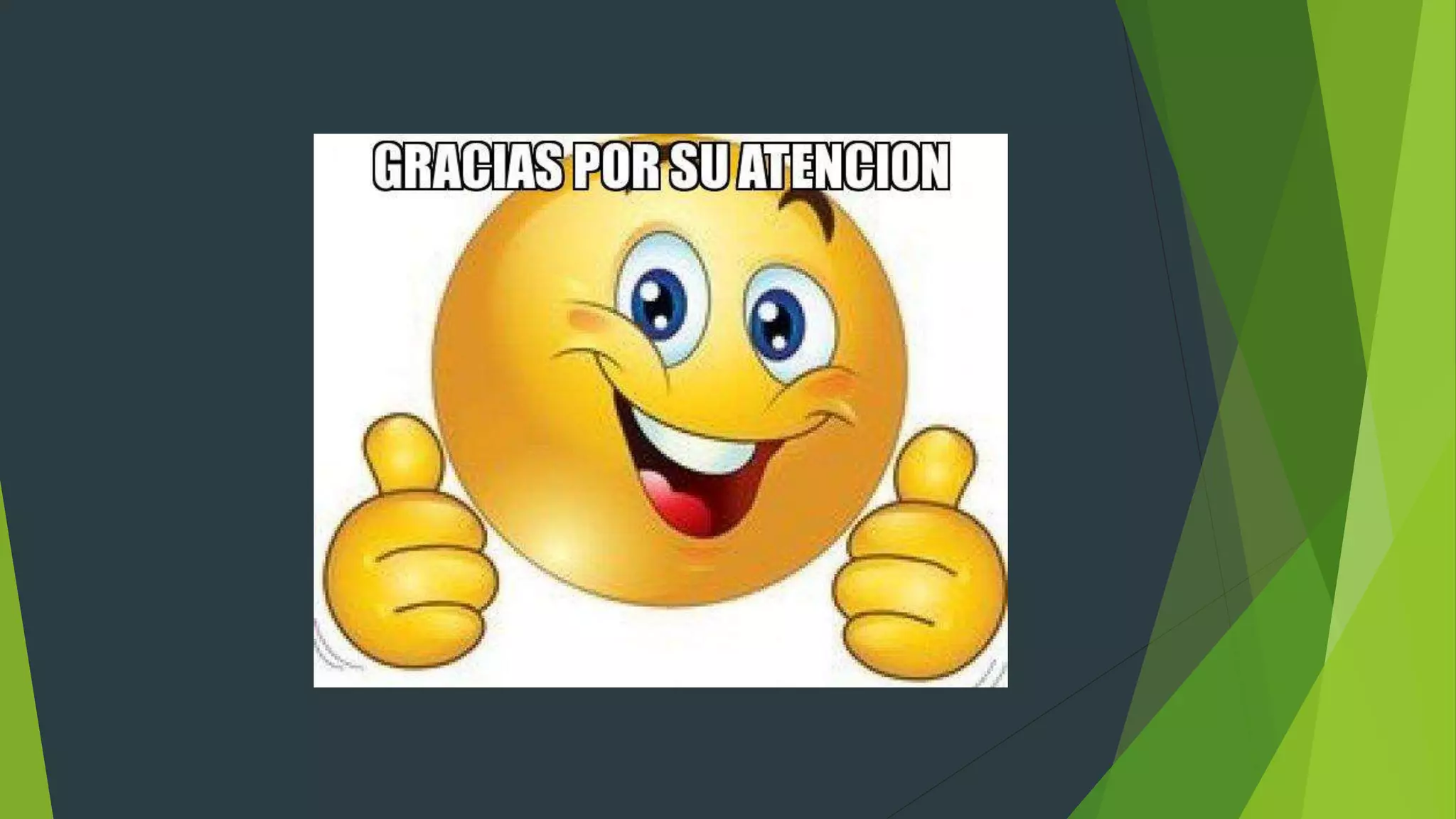 Estructura general de un programa (Funciones Internas) | PPTX