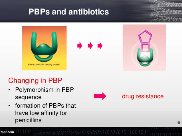 Computational approaches on PBP