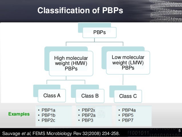 Computational approaches on PBP