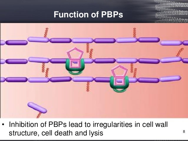 Computational approaches on PBP