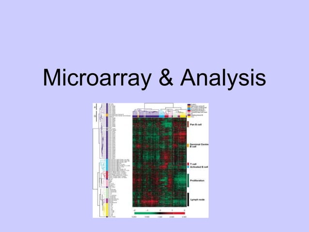 Computational biology.ppt