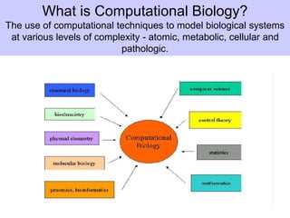 Computational biology.ppt
