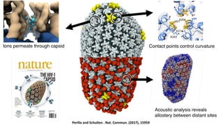 Computational Biophysics in the Petascale Computing Era | PDF