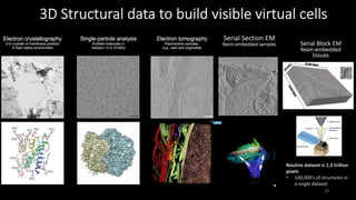 Computational Biophysics in the Petascale Computing Era | PDF