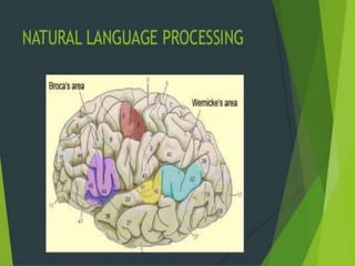 Computational linguistics | PPT