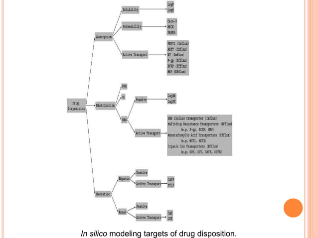 Computational modeling in drug disposition | PPTX