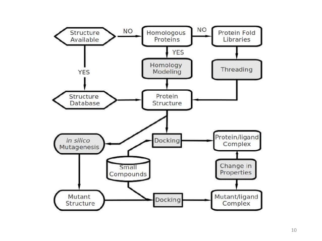 Computational Modeling Of Drug Disposition Pptx Digestive Disorders