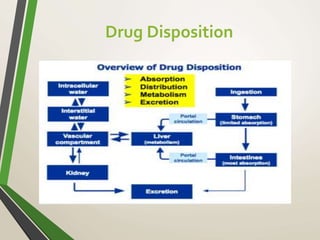 Computational modeling of drug disposition | PPTX